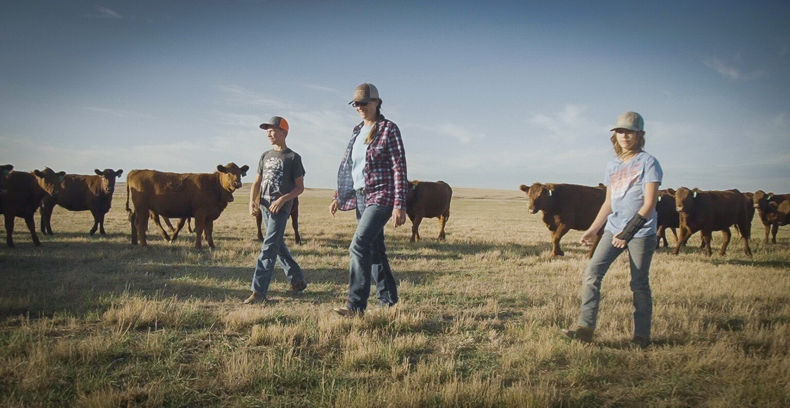 Laura Nowlin Receives Montana Watershed Stewardship Award - Montana ...
