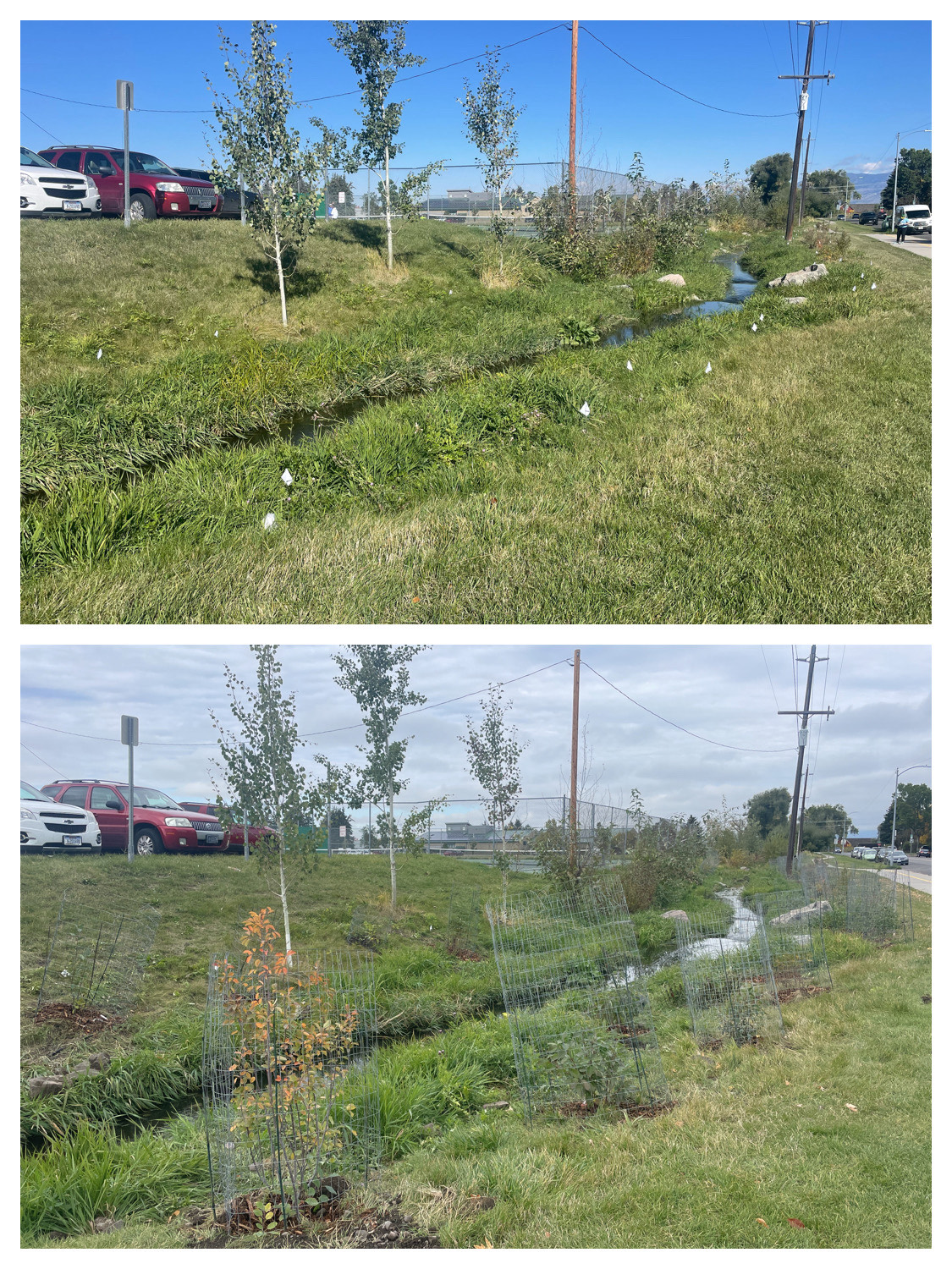 Enhancing Riparian Habitat and Improving Water Quality of Mandeville ...